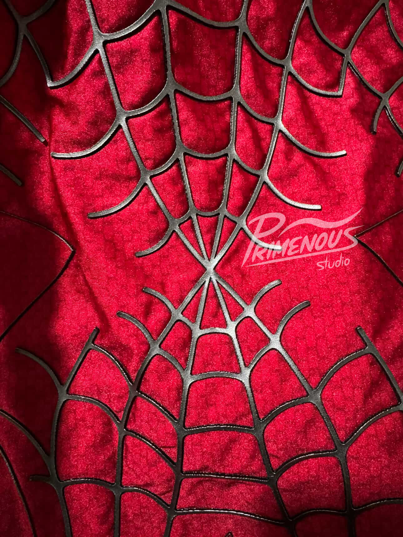 Sam Raimi Tobey Maguire Spiderman Suit – Permanent Screen Printed ...